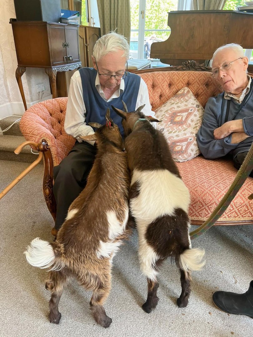 Our recent visitors were the GOAT! | Amesbury Abbey | Luxury retirement ...